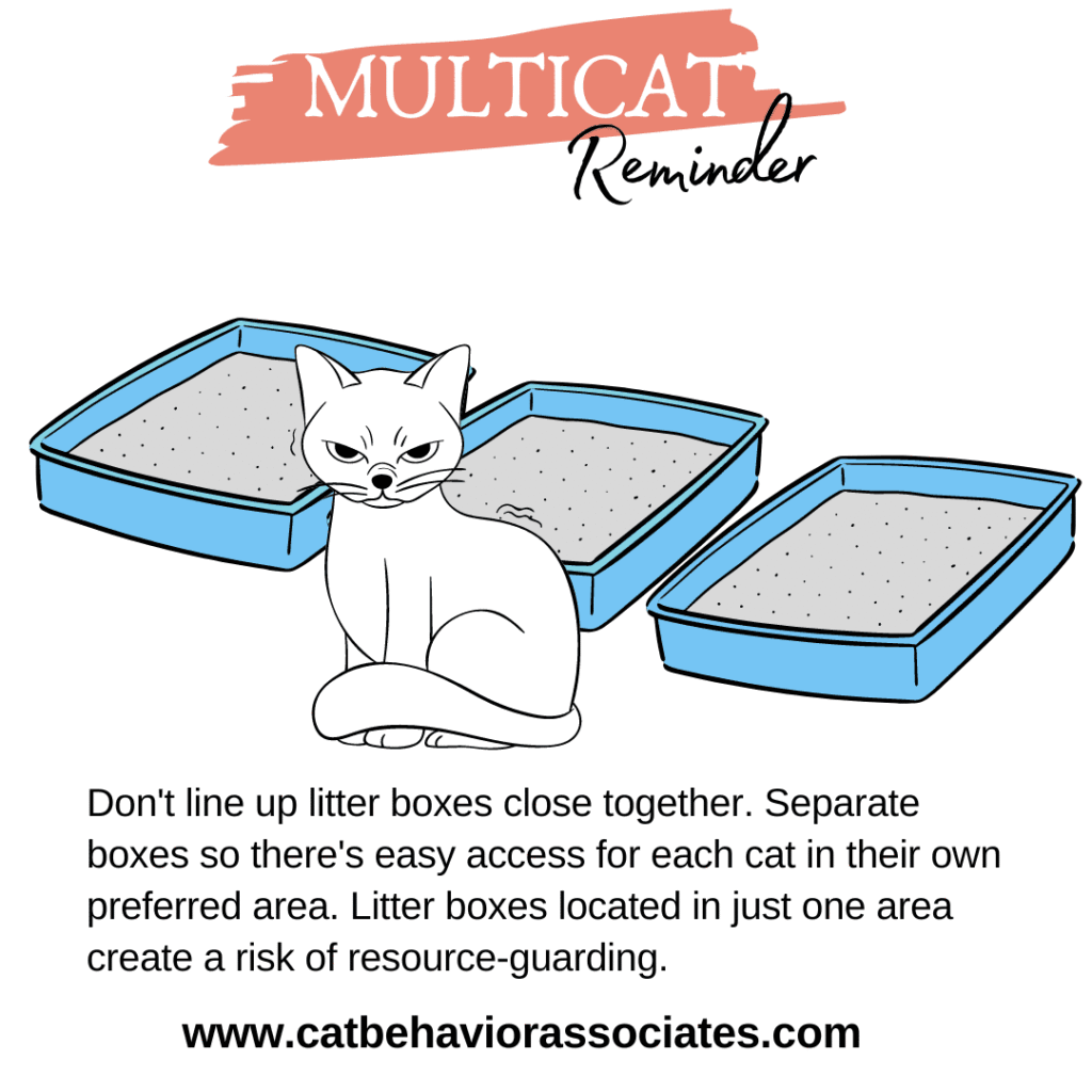 multicat reminder - Cat Behavior Associates