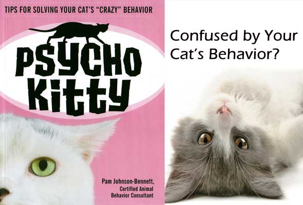 Confused by your cat's behavior? - Cat Behavior Associates