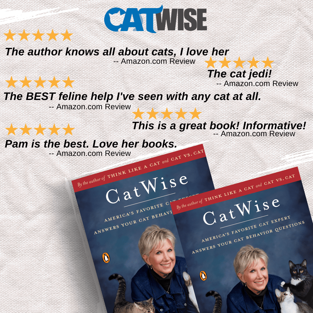 Teach Your Cat to Come When Called Teach Your Cat to Come When Called