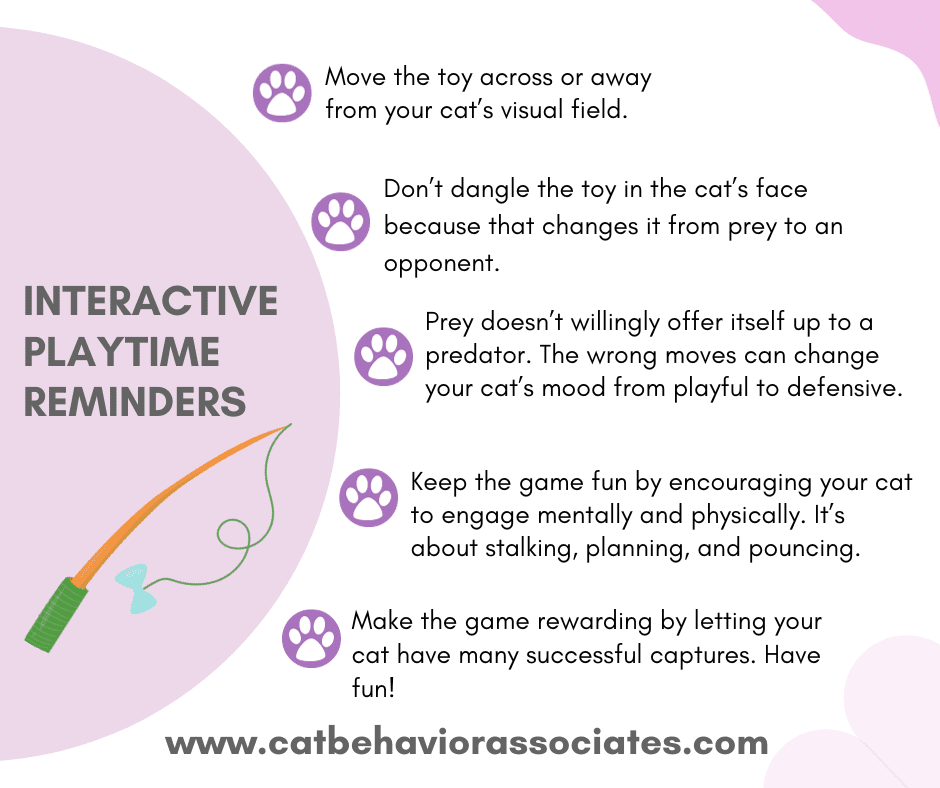 7 Benefits of Interactive Play for Cats